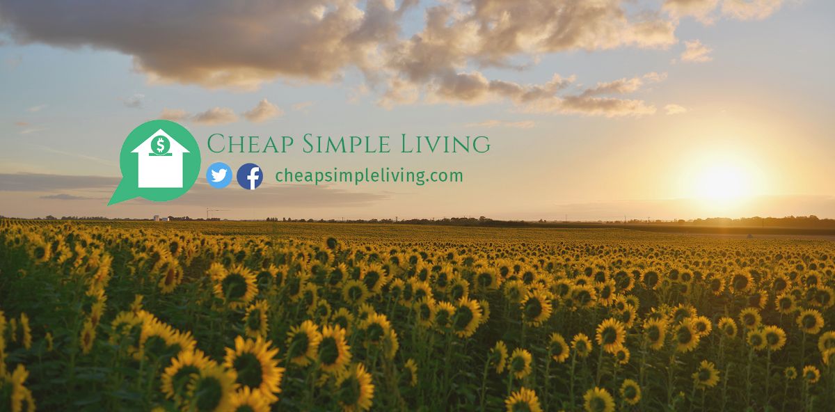 Cheap Simple Living | Smart Shopping & Healthy Living
